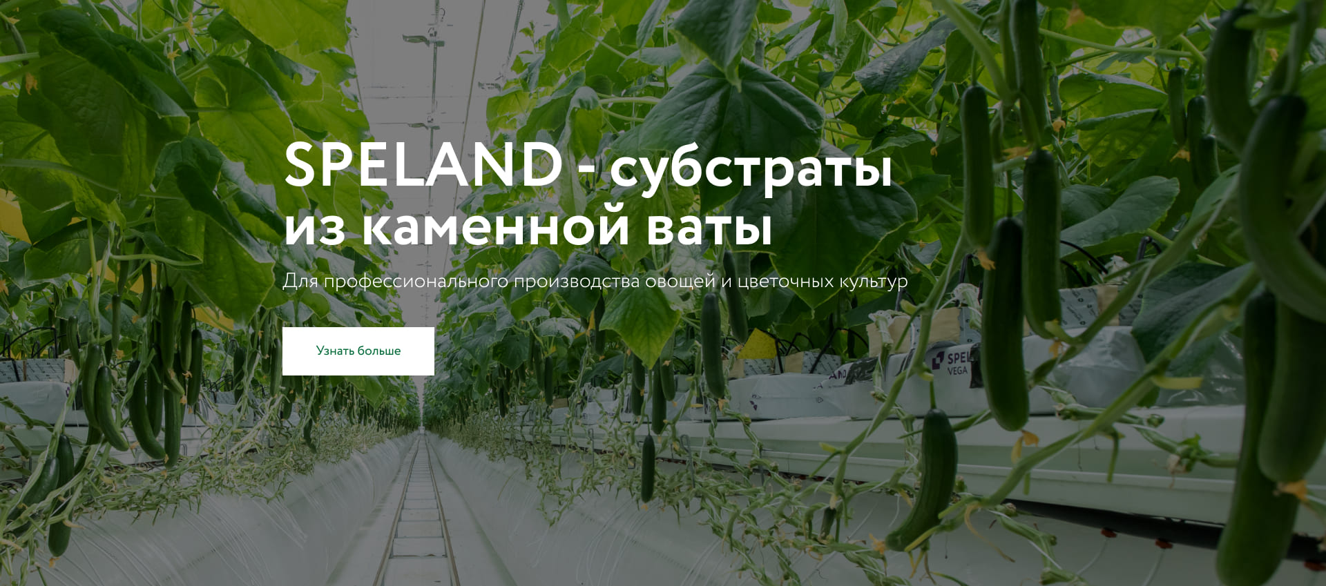 Speland – Субстраты из каменной ваты ТЕХНОНИКОЛЬ