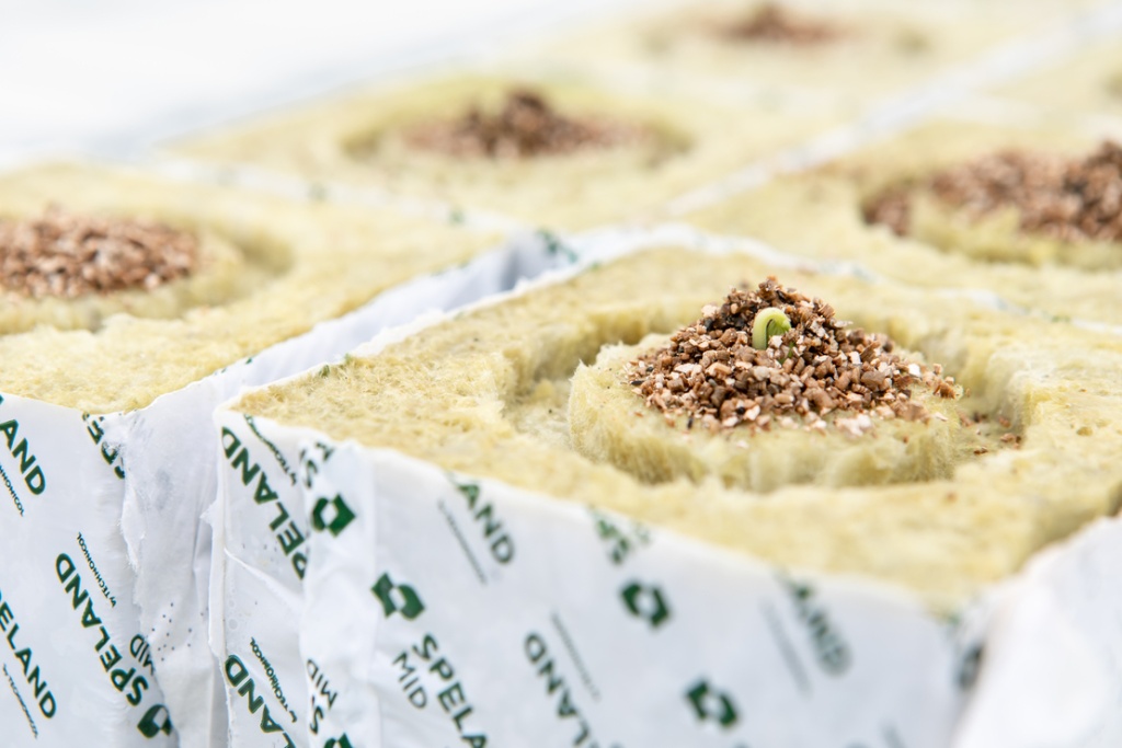 Роль основных элементов питания в гидропонном растворе